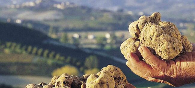 What to Visit in Piedmont Region: Journey Through Italy's Culinary ...