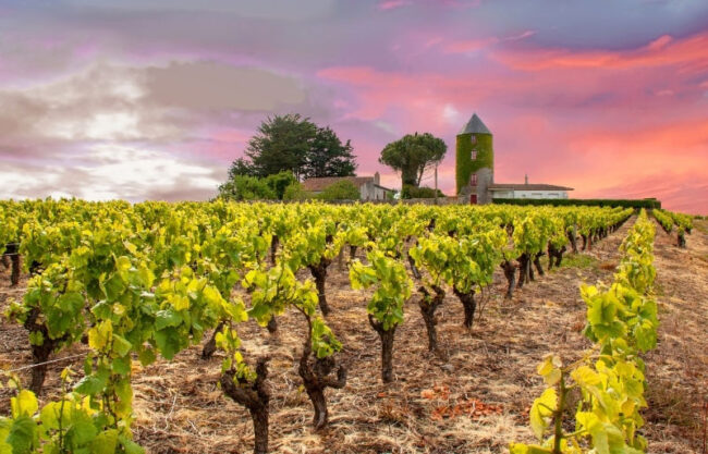 Why Loire Valley Should Be Your Next Travel Destination - Mapp ...